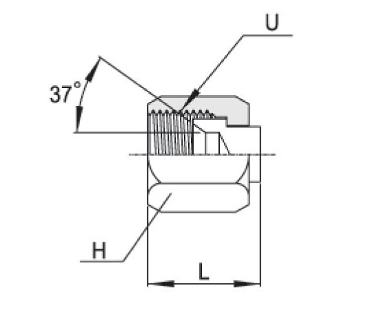 Plug Cap | Hy-Lok USA, Inc
